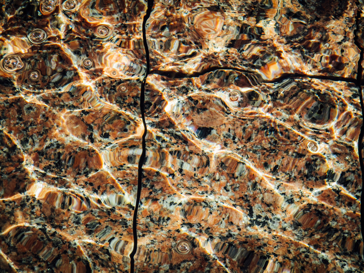 Shedding Scales – Celebration Company